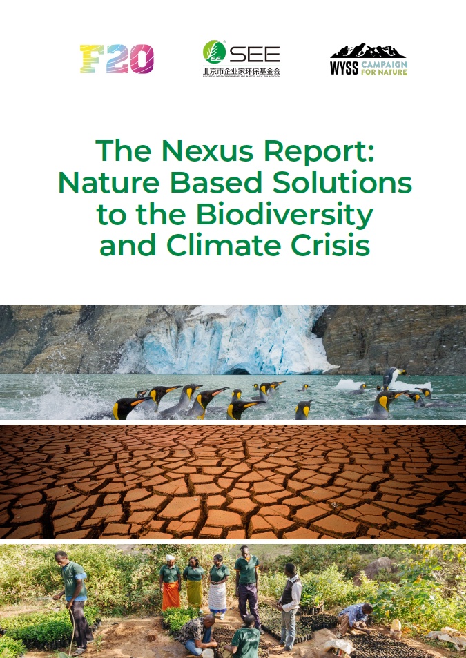 The Nexus Report: Nature-based Solutions to the Biodiversity and ...