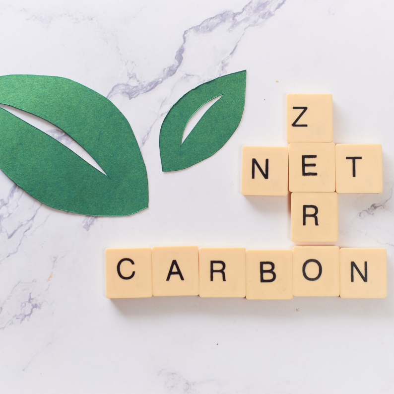 India’s Net Zero Transition: Scaling Socioeconomic Growth Through ...
