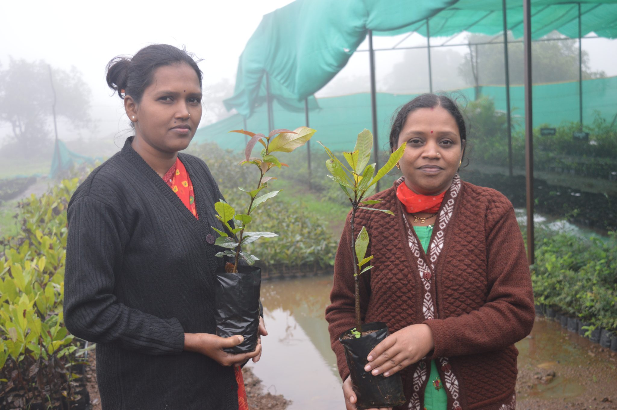 India: 55,000 tree seedlings for water storage - Foundations 20